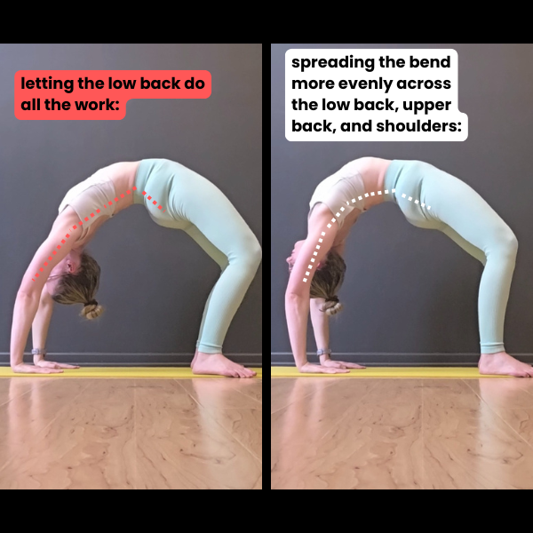 How’s Your Bridge (Full Wheel Pose)? 7 Most Common Mistakes — Dani ...