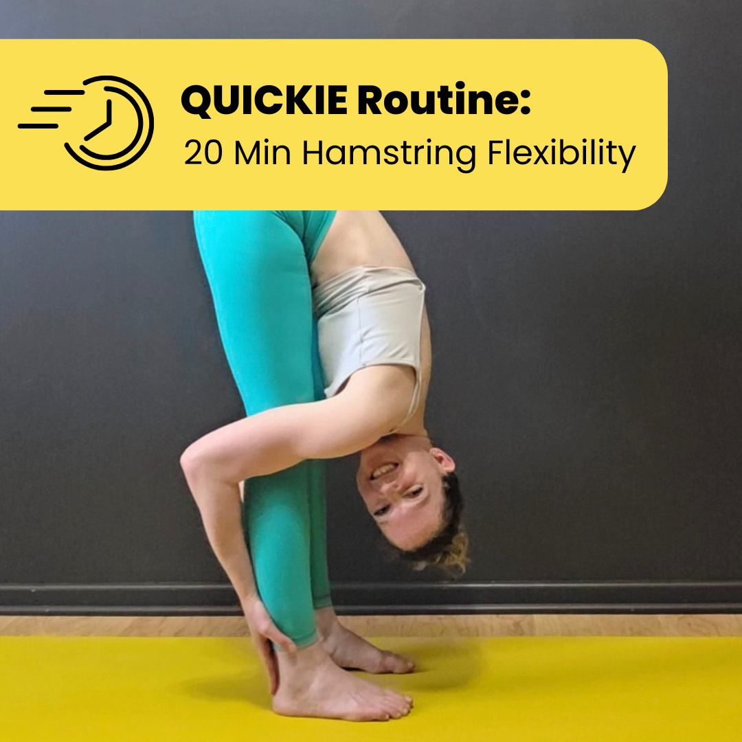Can't Touch Your Toes? 8 Hamstring Stretches for Beginners — Dani Winks ...