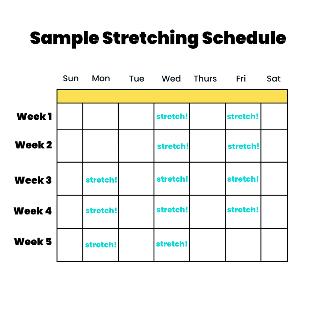 30-Day Toe Touch Flexibility Challenge — Dani Winks Flexibility