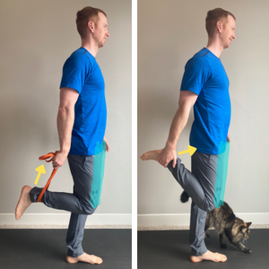 5 Beginner-Friendly Quad Stretches — Dani Winks Flexibility