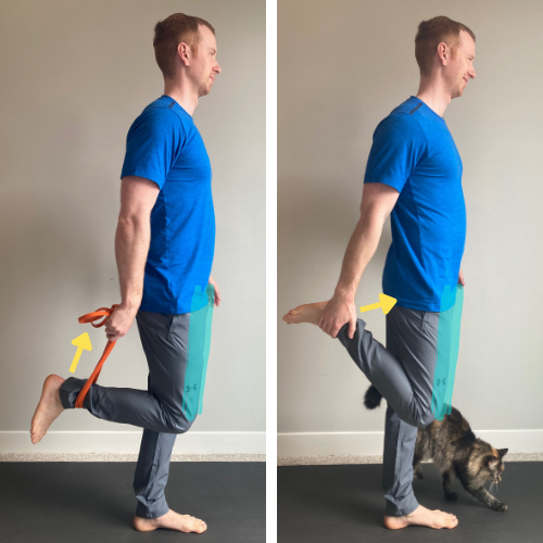 5 Beginner-Friendly Quad Stretches — Dani Winks Flexibility