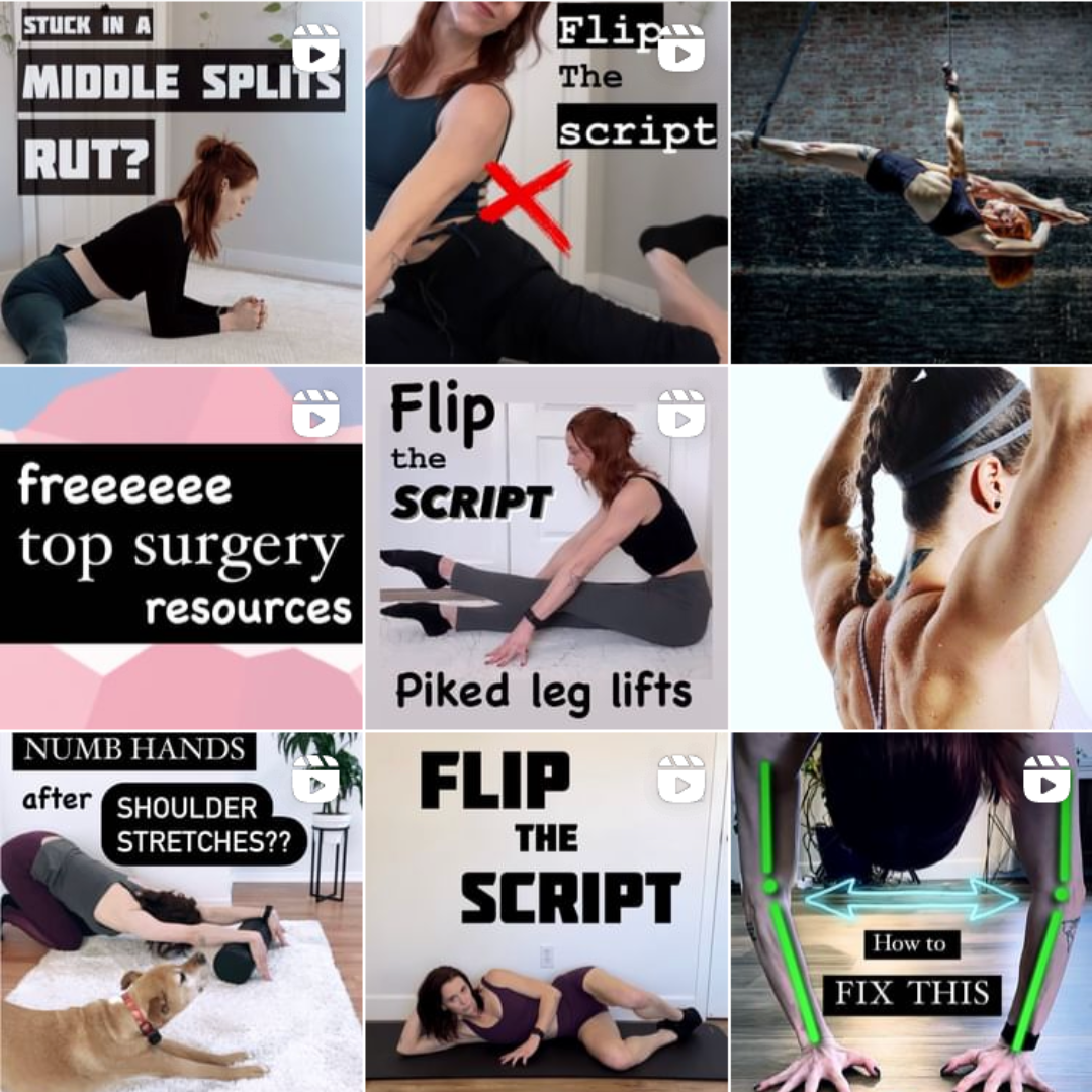 My Top 5 Insta Accounts to Follow for Flexibility Education — Dani ...