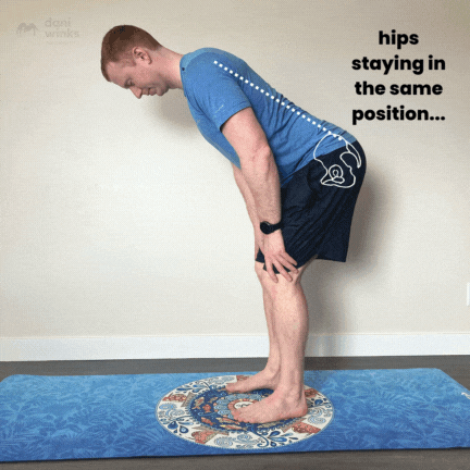 Is it OK to Round Your Back in a Forward Fold? — Dani Winks Flexibility