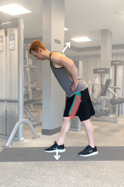 4 Active Hamstring Stretches for Beginners — Dani Winks Flexibility