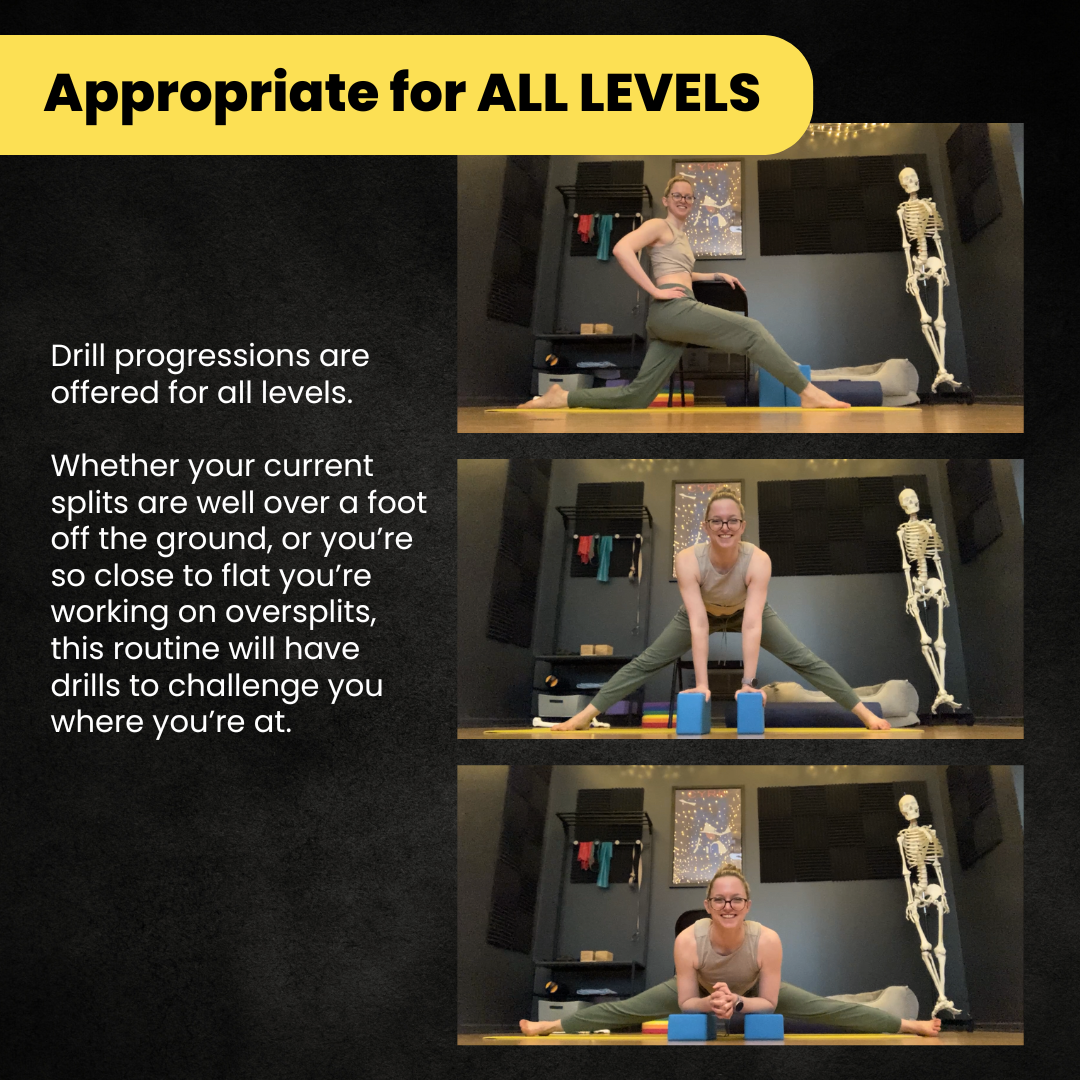 Class Recordings & On-Demand Classes — Dani Winks Flexibility