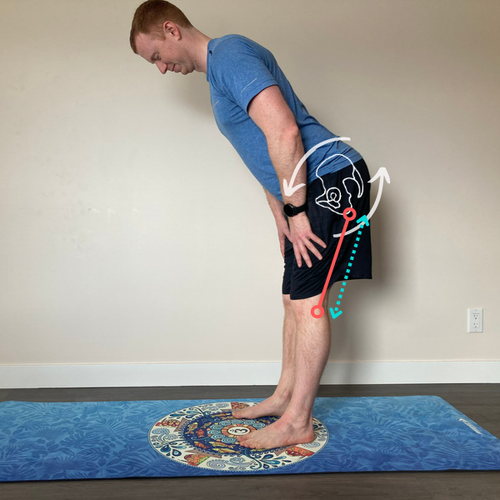 Struggling to Keep Your Back “Flat” in a Forward Fold? 5 Tips to Hinge ...
