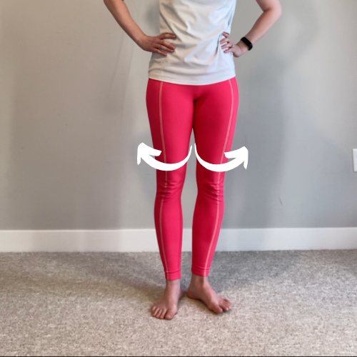 How to Do a Y Scale Leg Hold — Dani Winks Flexibility