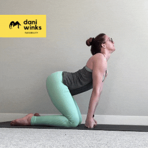 6 Cat-Cow Variations for Spinal and Shoulder Mobility — Dani Winks ...