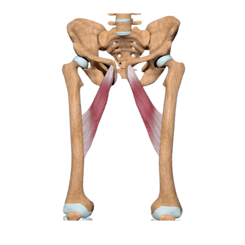 I Can Open My Hips in a Frog Stretch, But Not Middle Splits - What ...