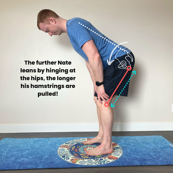 Struggling to Keep Your Back “Flat” in a Forward Fold? 5 Tips to Hinge ...