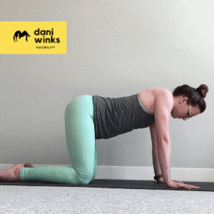 6 Cat-Cow Variations for Spinal and Shoulder Mobility — Dani Winks ...