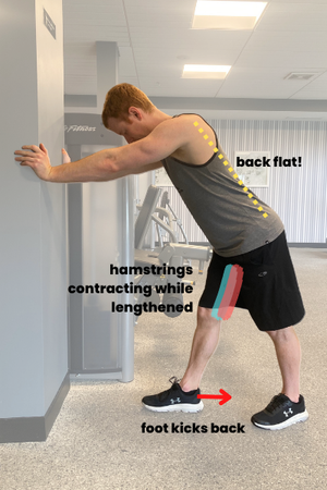 4 Active Hamstring Stretches for Beginners — Dani Winks Flexibility