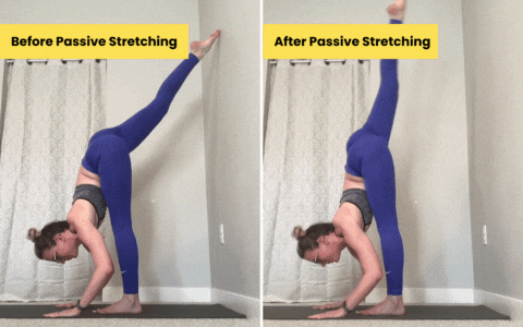 Passive Stretching is Not the Devil — Dani Winks Flexibility