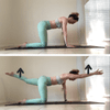 4 Bird Dog Variations for Bendier Backbends — Dani Winks Flexibility