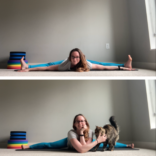 Straddle vs. Middle Split - What’s the Difference? — Dani Winks Flexibility