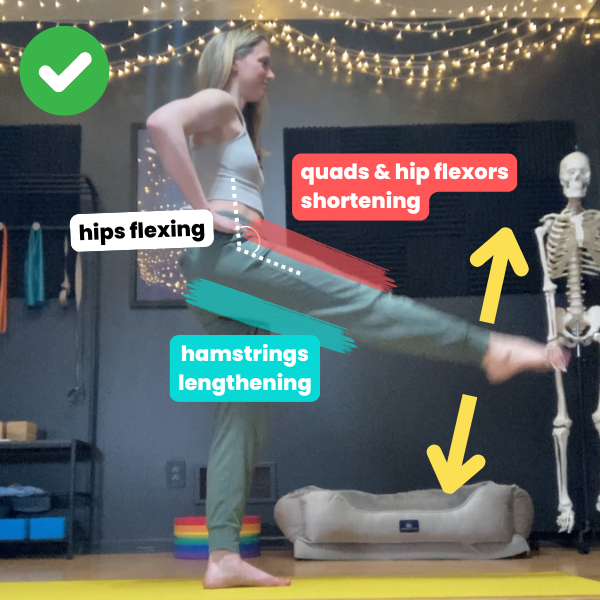 Why (and How) to Warm Up Before Stretching — Dani Winks Flexibility