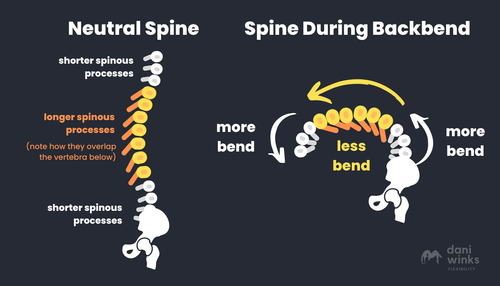 Why Your Upper Back Sucks at Backbending (and How to Make it Suck Less ...