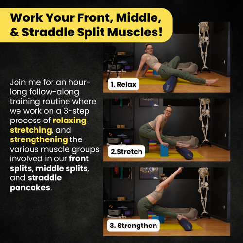 Class Recordings & On-Demand Classes — Dani Winks Flexibility