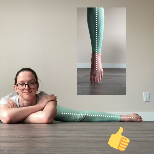 Point or Flex? Protecting Your Ankles in Middle Splits — Dani Winks ...
