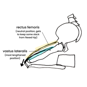 5 Beginner-Friendly Quad Stretches — Dani Winks Flexibility