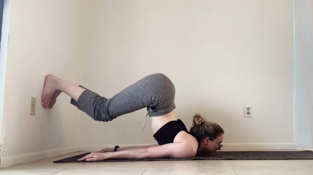 Example Chest Stand Training Progression — Dani Winks Flexibility