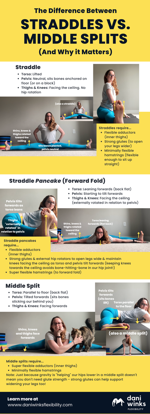 Straddle vs. Middle Split - What’s the Difference? — Dani Winks Flexibility