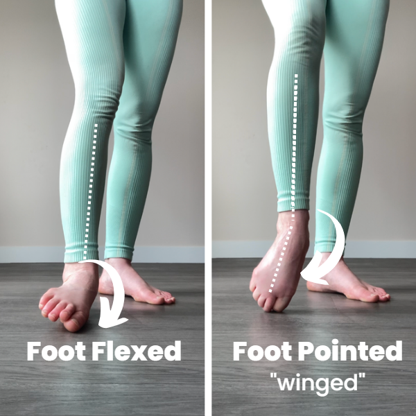 Point or Flex? Protecting Your Ankles in Middle Splits — Dani Winks ...