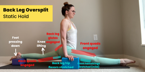 When (and How) to Start Working on Oversplits — Dani Winks Flexibility