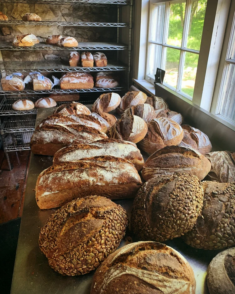 About — Daily Loaf Bakery