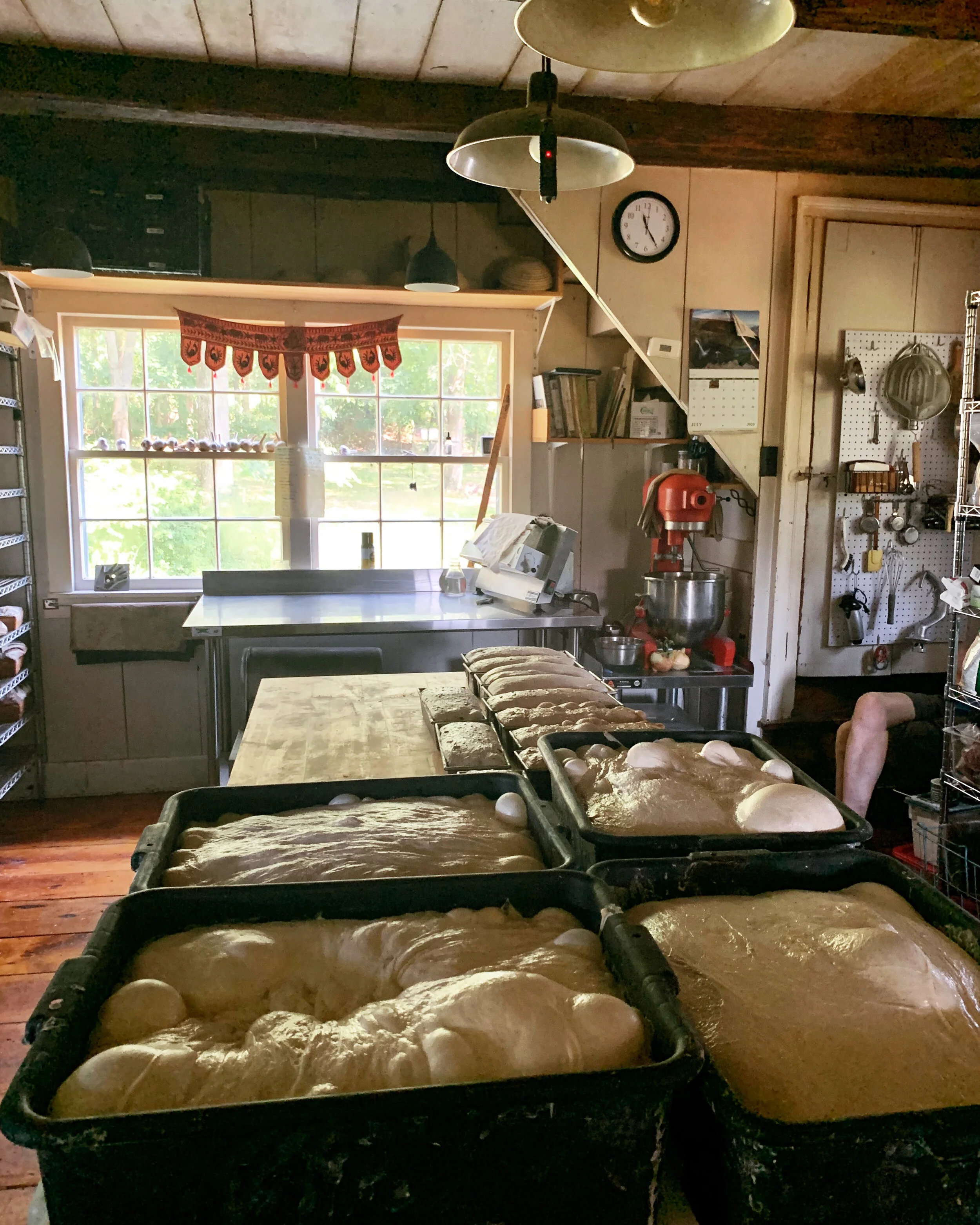 About — Daily Loaf Bakery