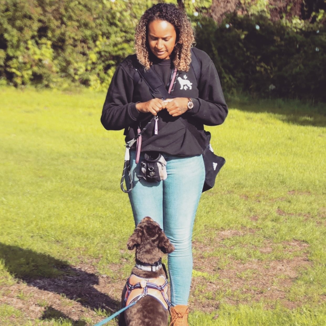 ABOUT US | The Animal Days - Dog Walking & Pet Care co.