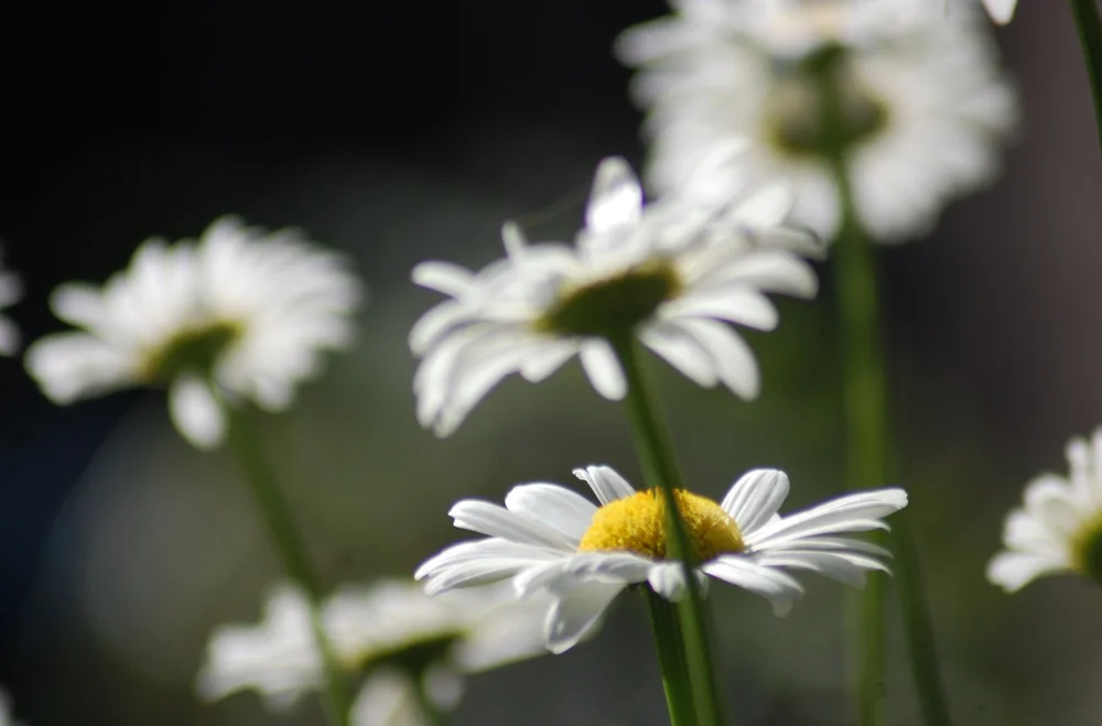 Gallery 3 — FREO Wellbeing