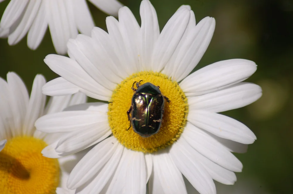 Gallery 3 — FREO Wellbeing