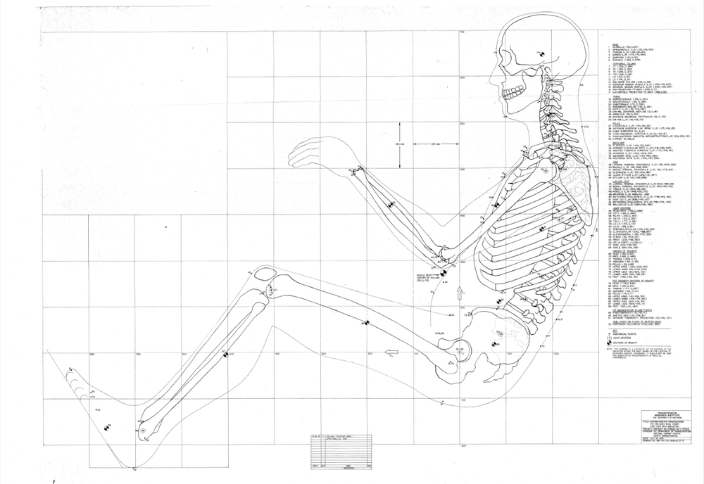 Notes On Anthropometry — DesignJudges.com
