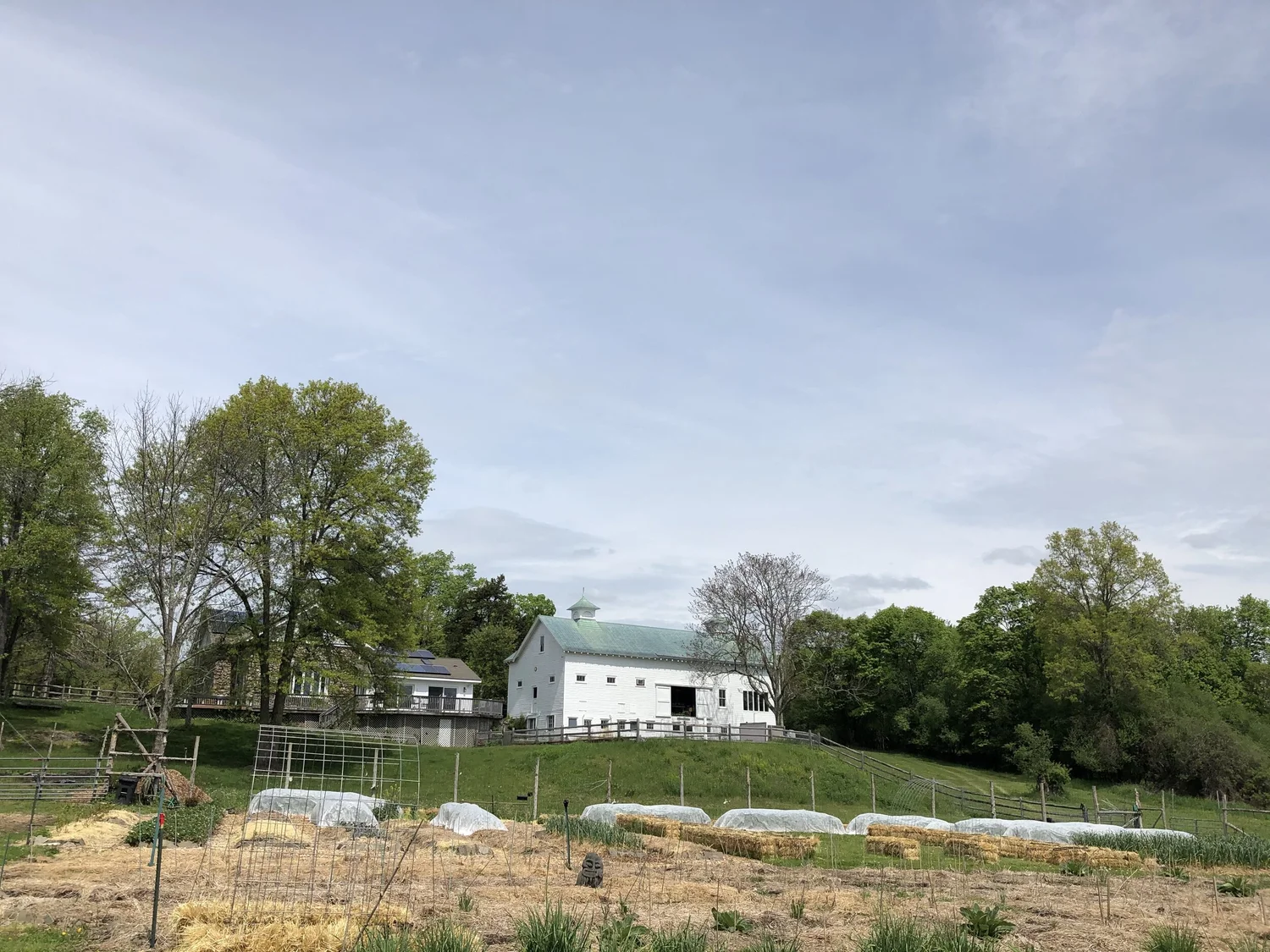 About Us — Goshen Green Farm