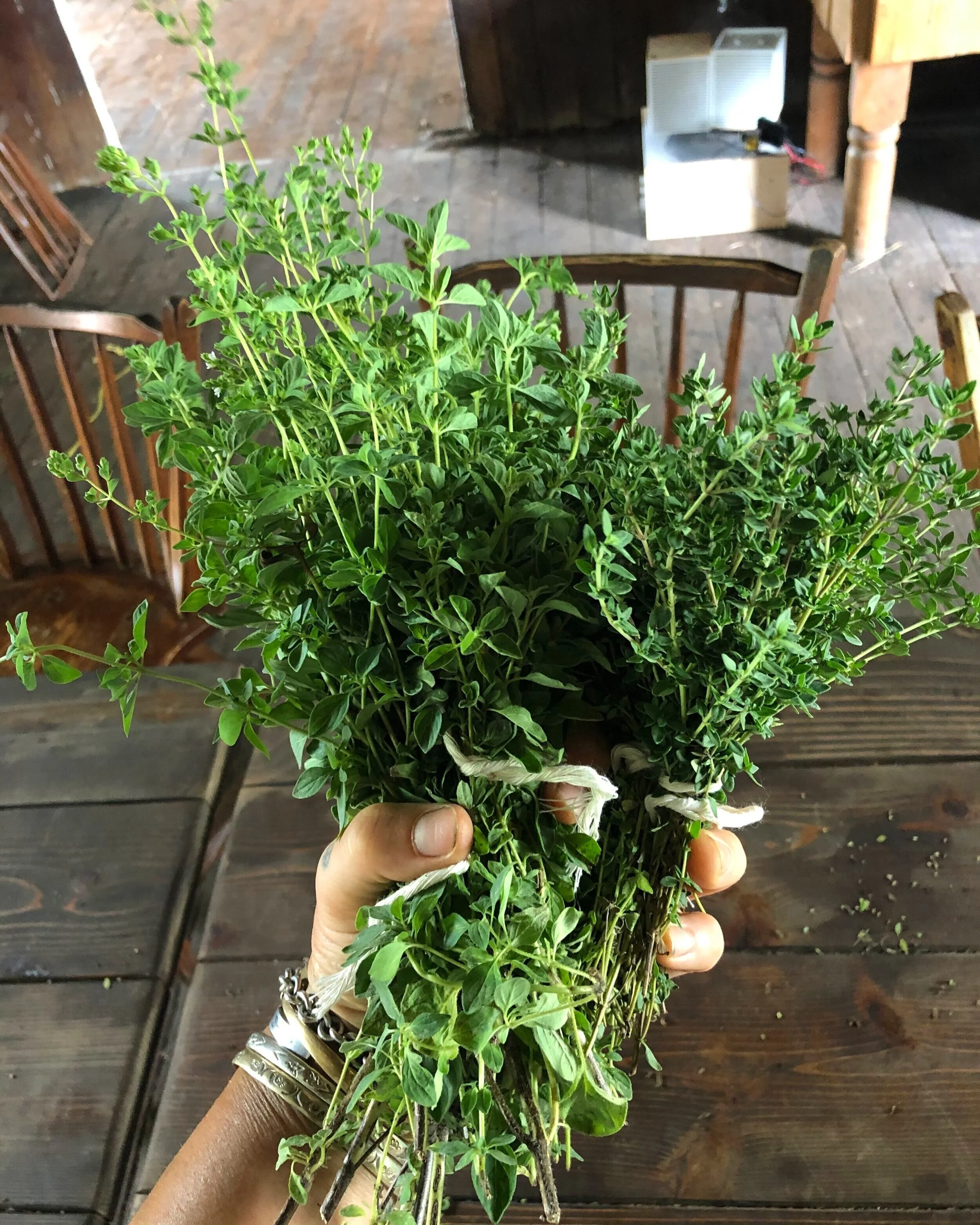 About Us — Goshen Green Farm