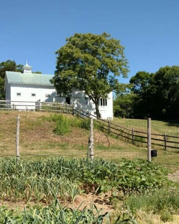 About Us — Goshen Green Farm