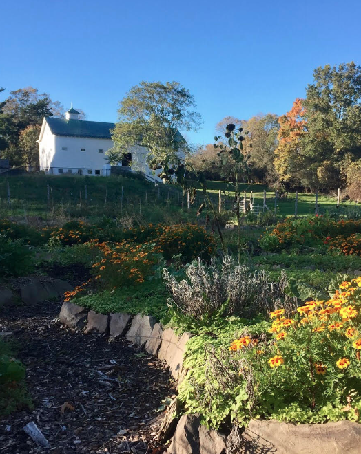 Market — Goshen Green Farm