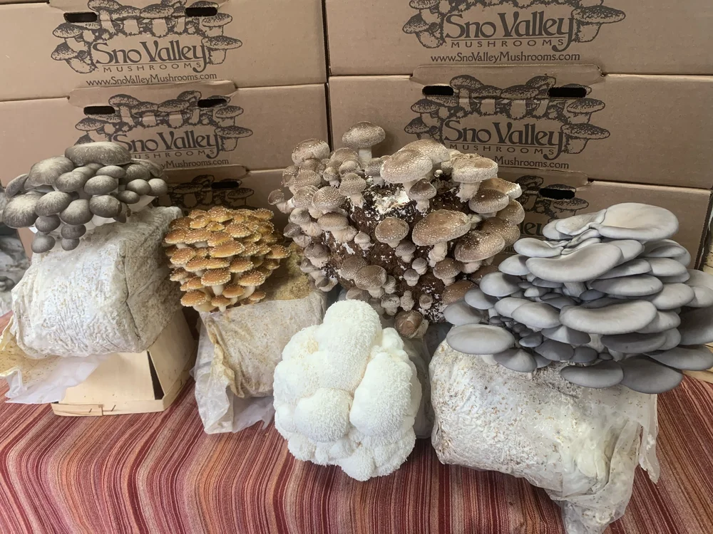 Sno-Valley Mushrooms