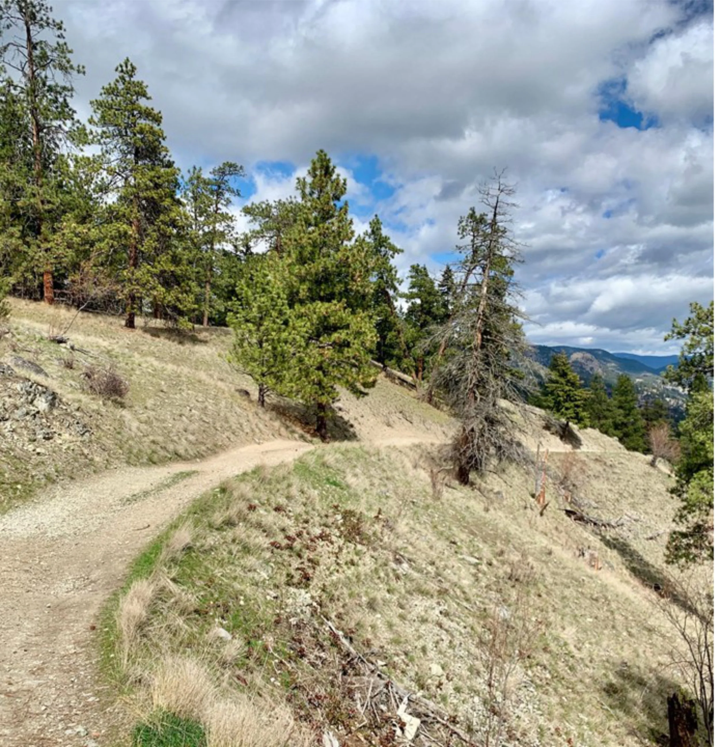 History of the Trail — Membership