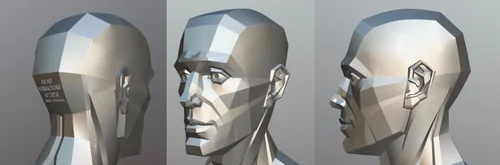 Head Structure — EDGARSILVAART