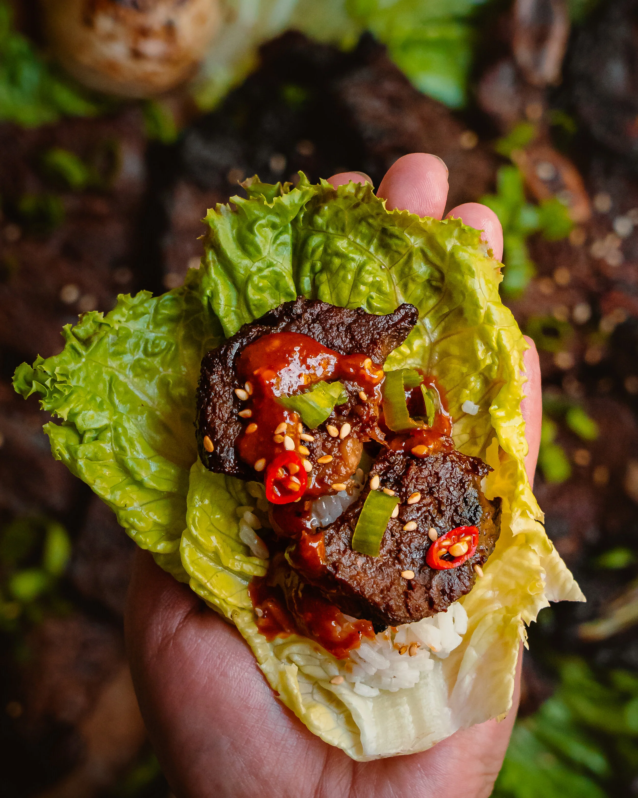 LA Kalbi | Korean Grilled Beef Short Ribs | Galbi-Gui — The Spice Odyssey