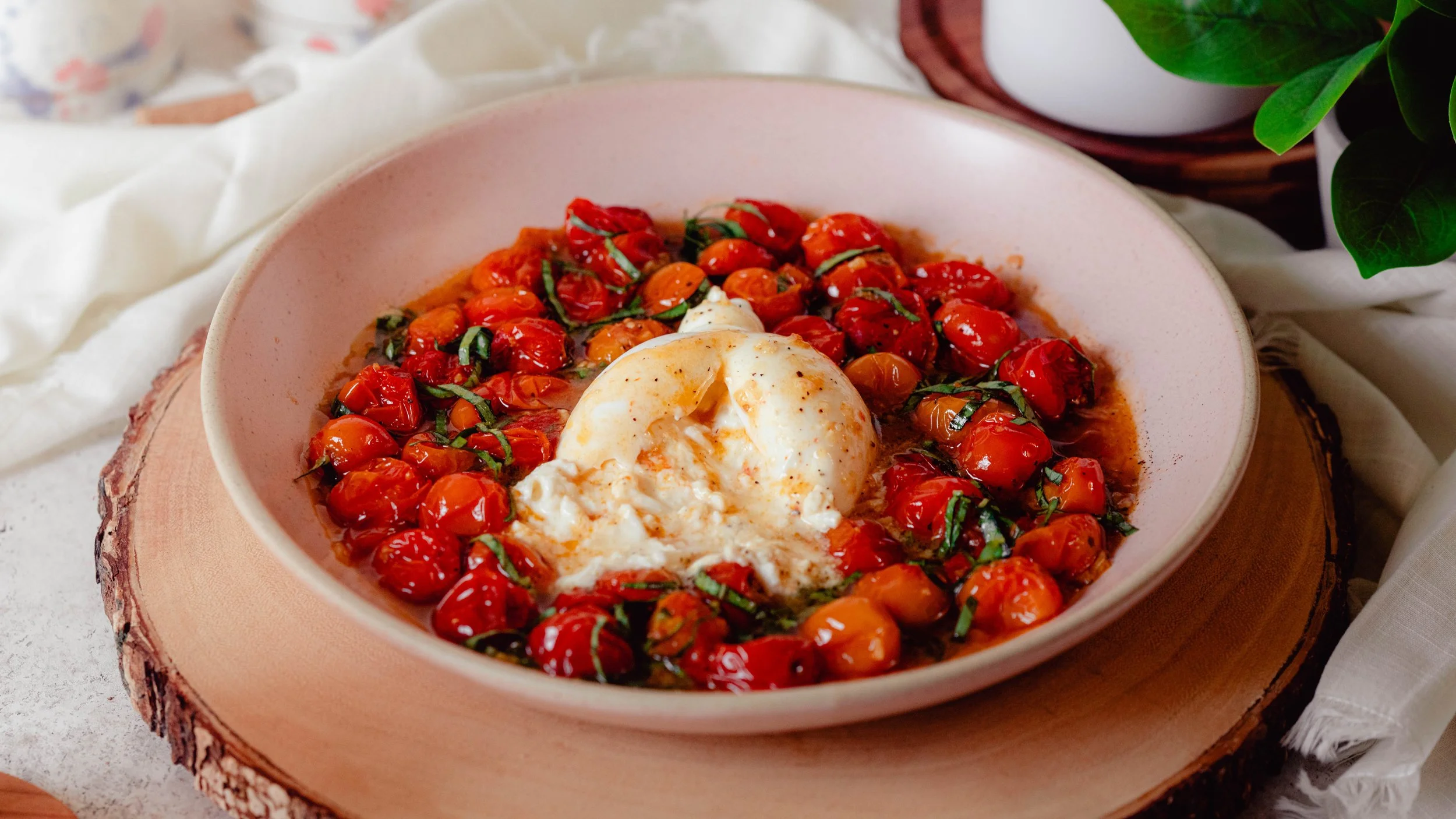Roasted Tomatoes & Burrata — The Spice Odyssey