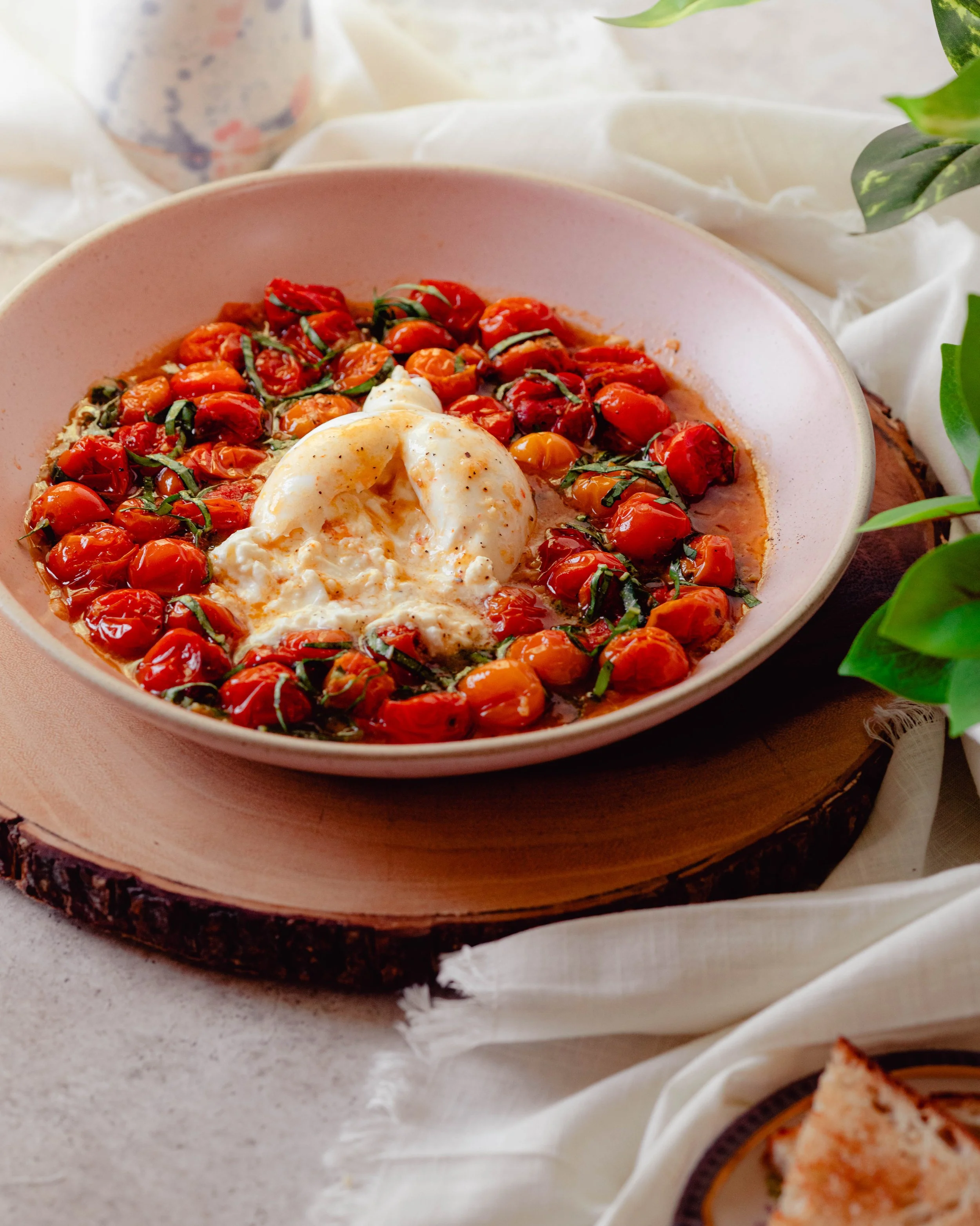 Roasted Tomatoes & Burrata — The Spice Odyssey