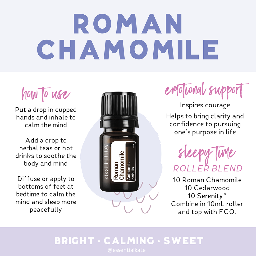 HELLO ROMAN CHAMOMILE EssentialKate hello-roman-chamomile-essentialkate