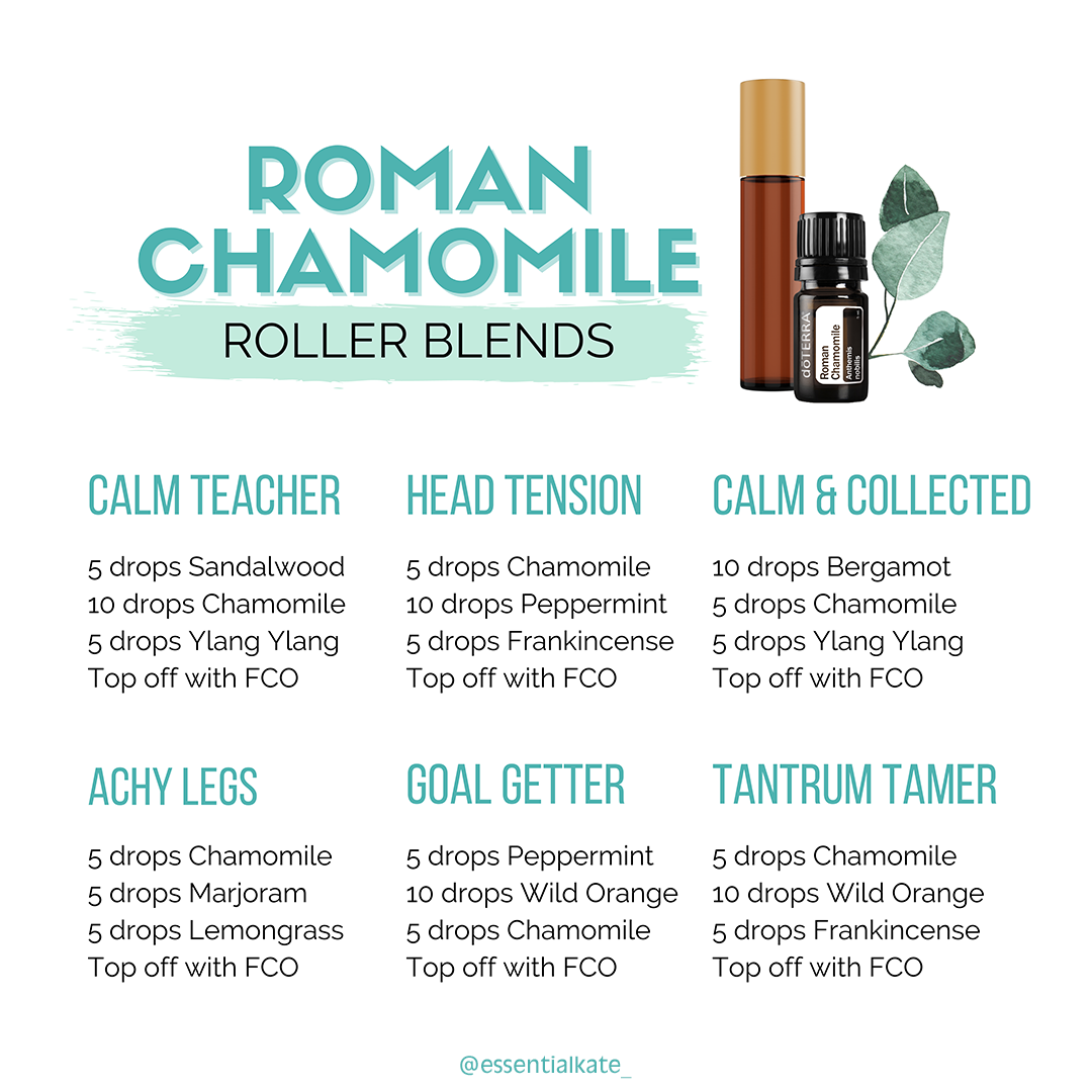 HELLO ROMAN CHAMOMILE EssentialKate hello-roman-chamomile-essentialkate