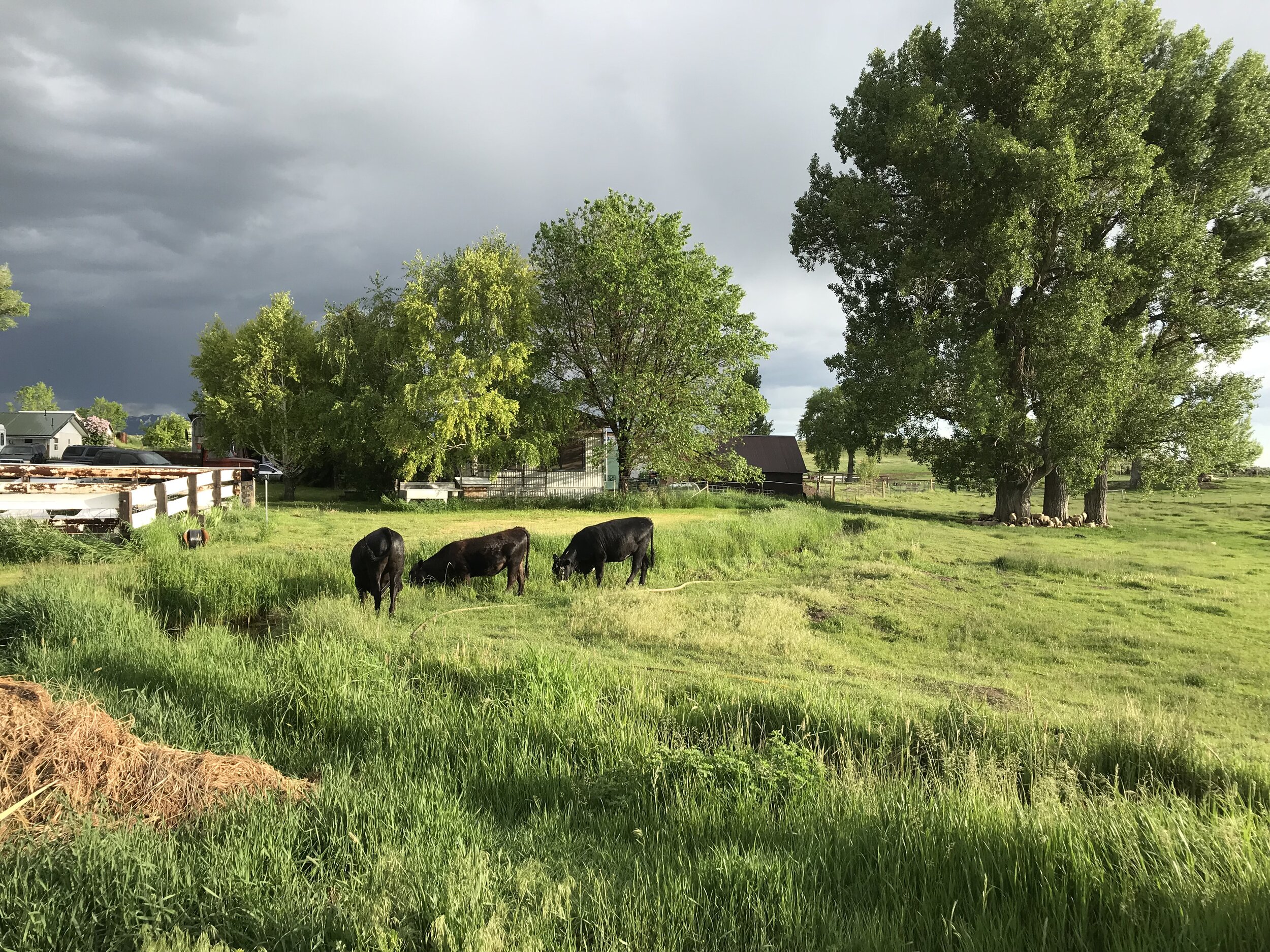 Lotspeich Family Farm