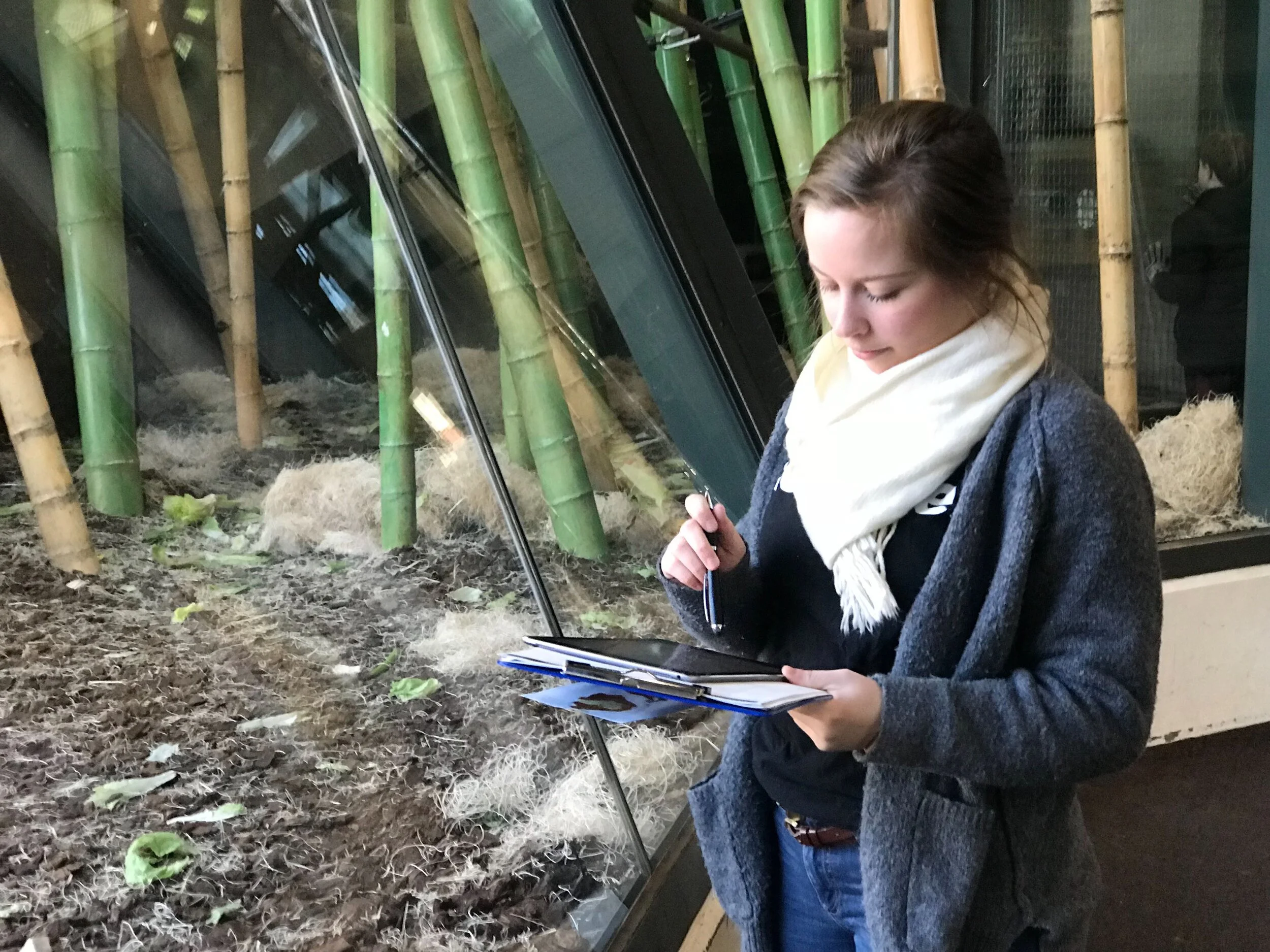 Internet of Elephants — Madison Ross-Ryan