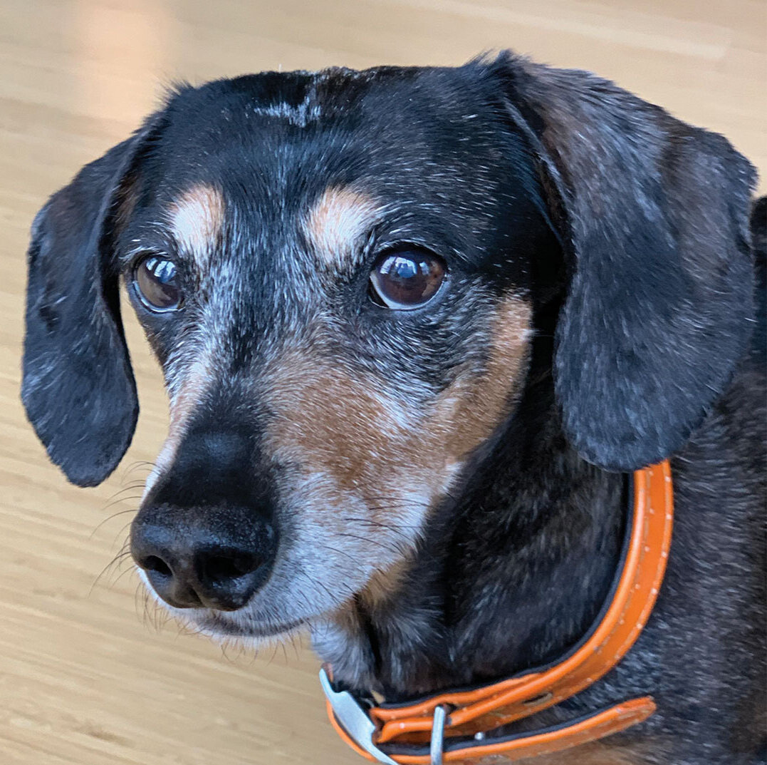 Previous Mayors — Eastsound Mayor