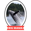 Big Mama — Eastsound Mayor
